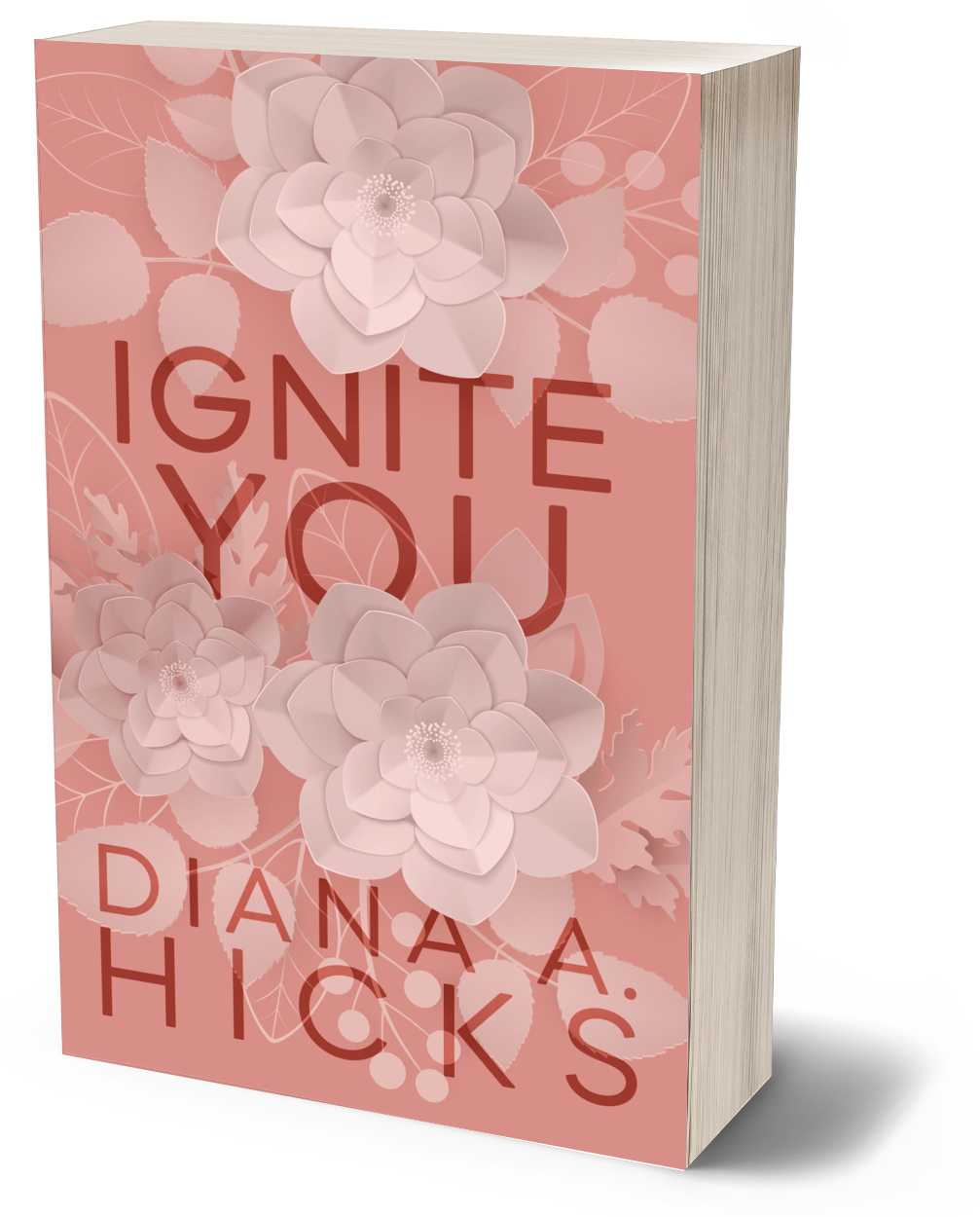 Ignite You: An Opposites Attract Romance, Special Edition Cover (Steal ...